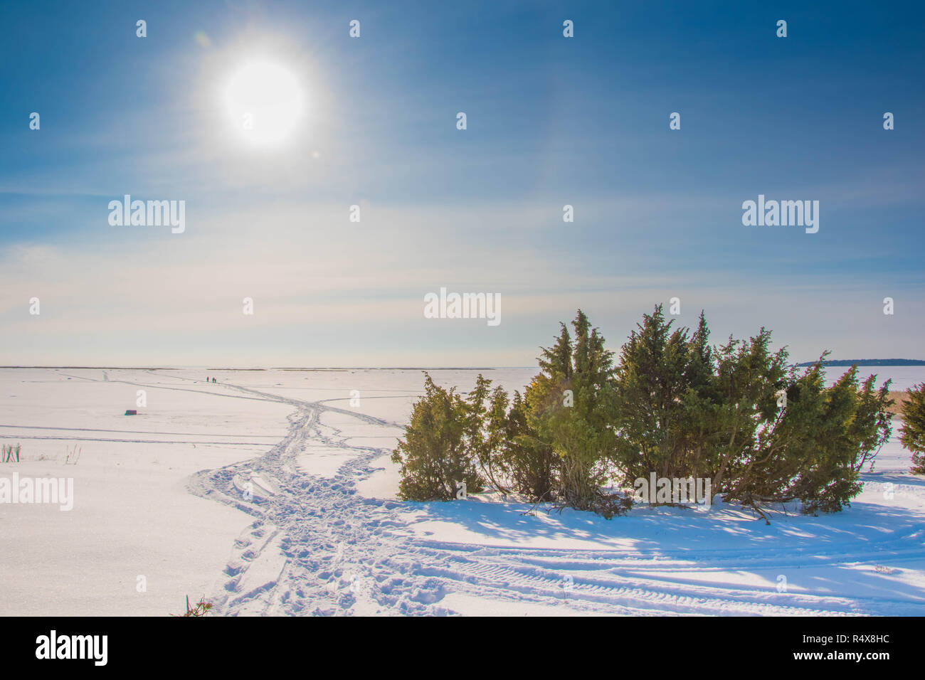 Frozen beach hi-res stock photography and images - Alamy