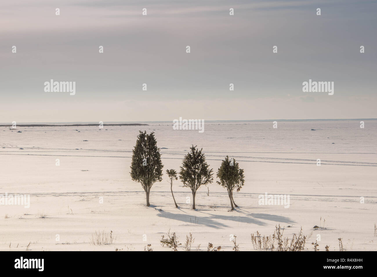 Frozen beach hi-res stock photography and images - Alamy