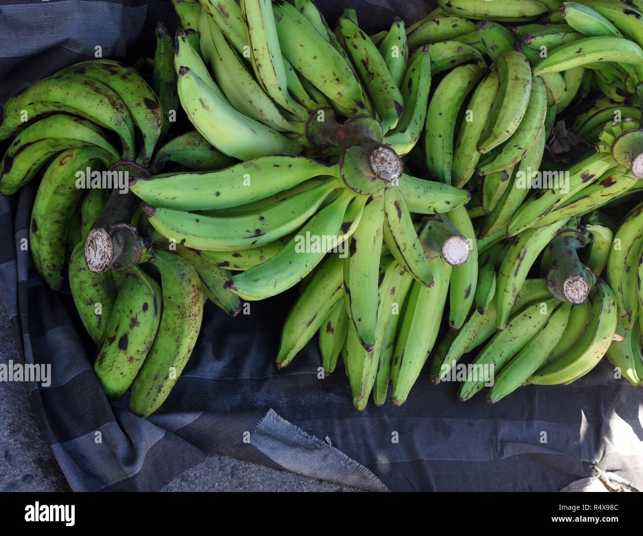 Bunches of Plantains Stock Photo - Alamy