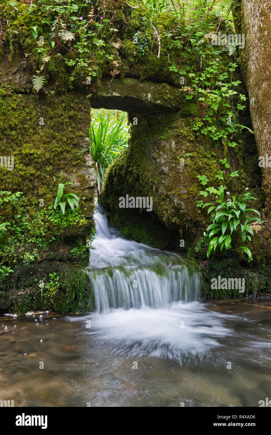 A springtime view of the stream at Long Wood Swallet in the Somerset ...