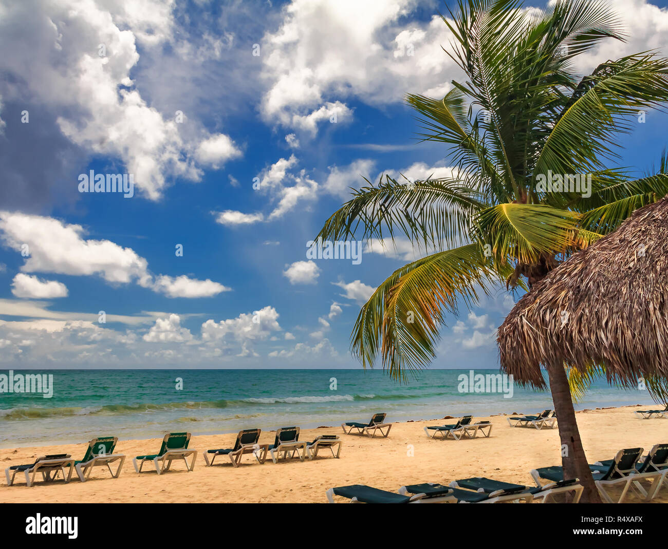 Grand bahama freeport bahamas hi-res stock photography and images - Alamy