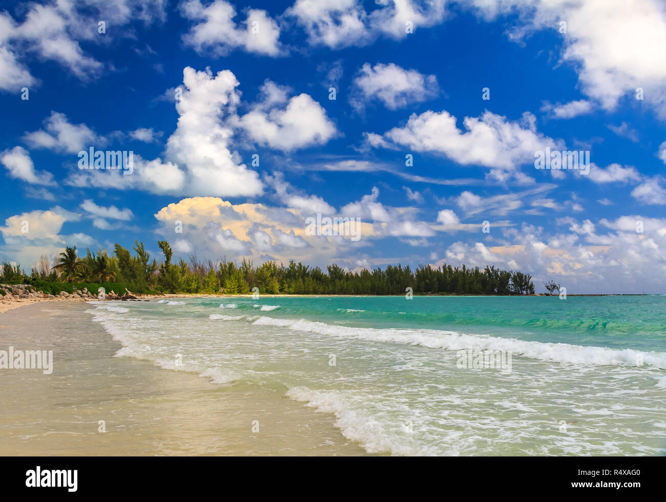 Turquoise waters on a tropical sandy beach in the Caribbean sea with a ...