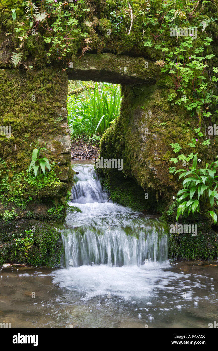 A springtime view of the stream at Long Wood Swallet in the Somerset ...