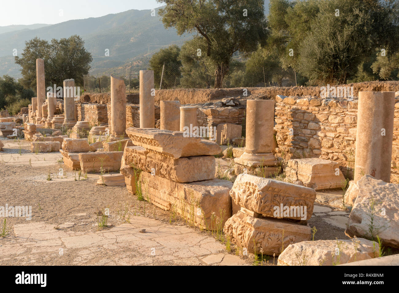 Ancient Nysa on the Maeander is a true gem of Caria hidden in the deep ...