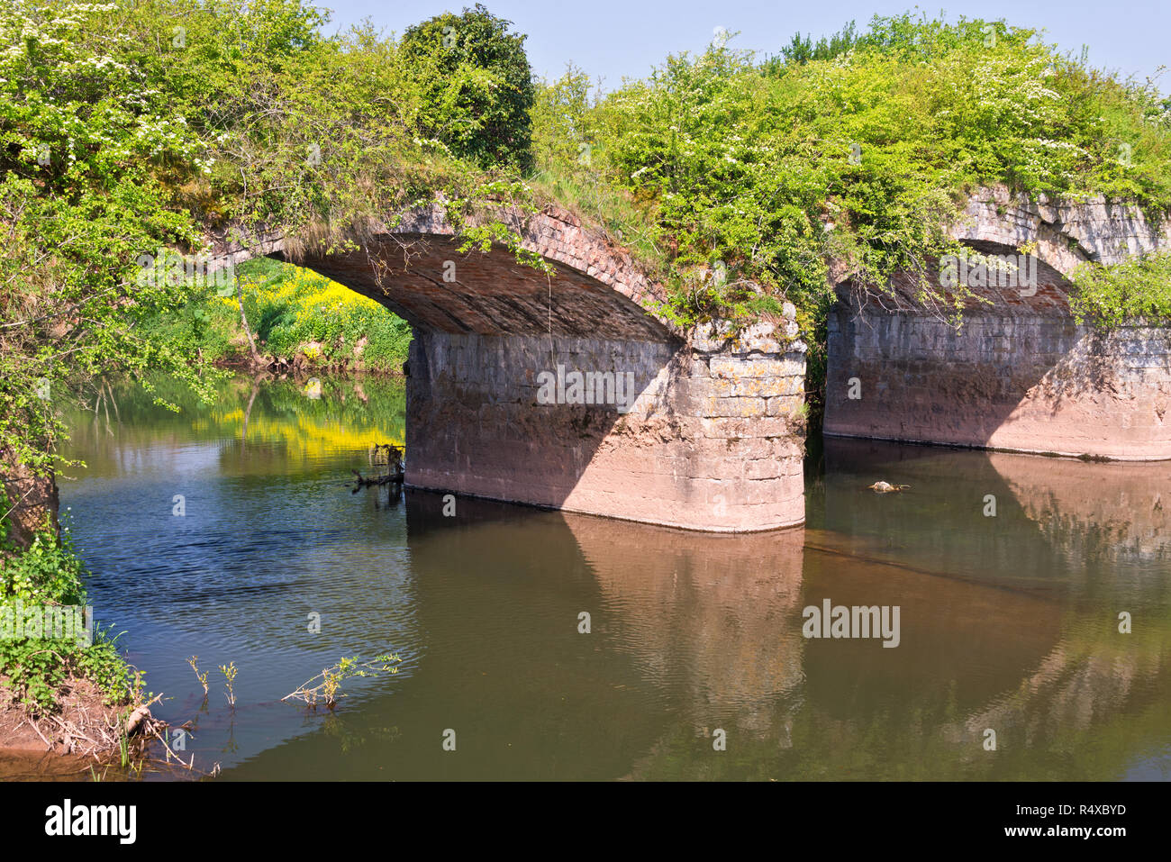 A disused bridge over the River Tone on the outskirts of Creech St ...