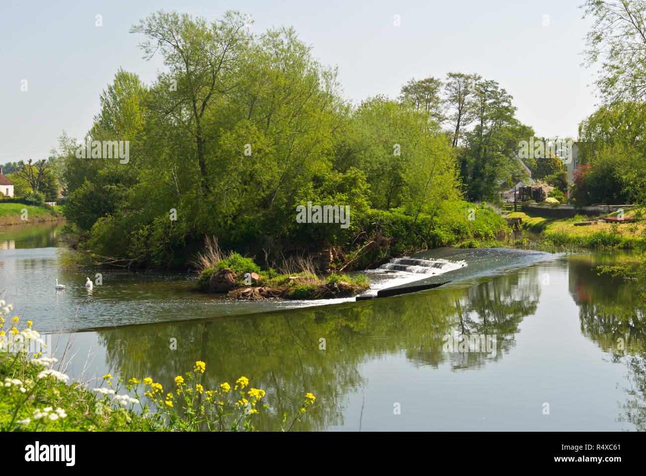 the River Tone passing over the weir at the village of Ham on the edges ...