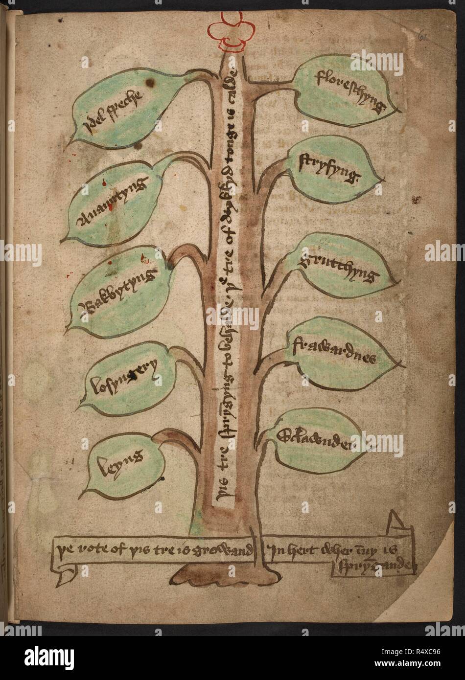 An illustration of a tree with text written on the leaves. The healthy ...