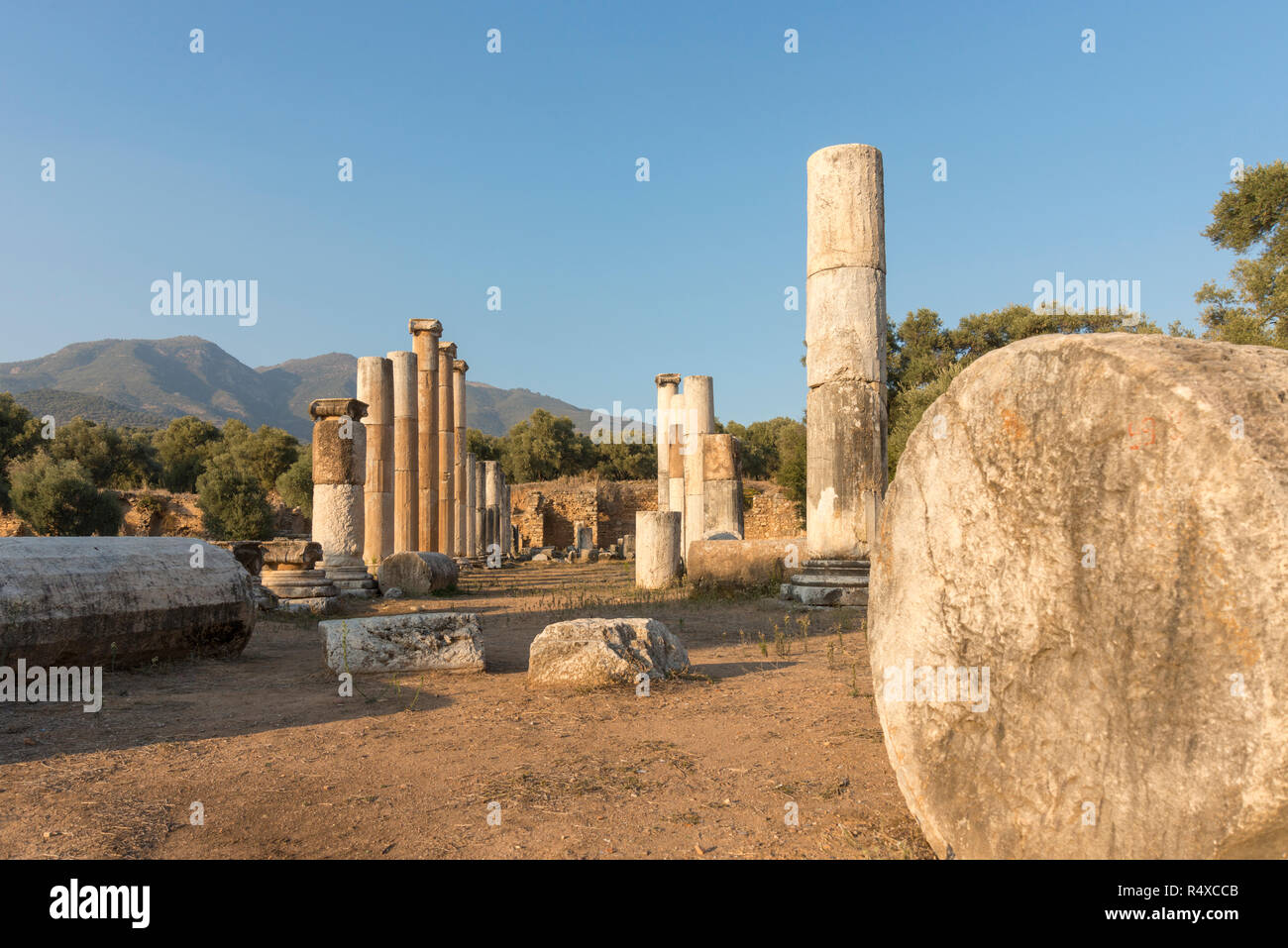 Ancient Nysa on the Maeander is a true gem of Caria hidden in the deep ...