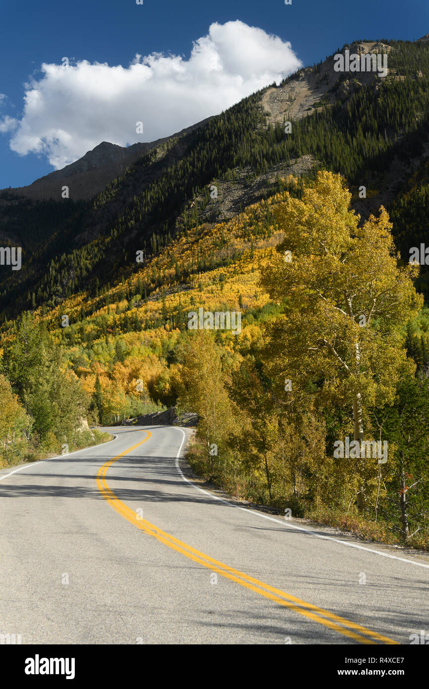 Independence pass aspen hi-res stock photography and images - Alamy