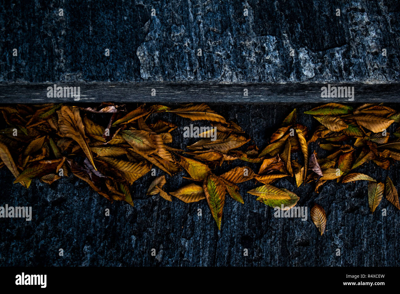 Wallpapers of nature hi-res stock photography and images - Alamy