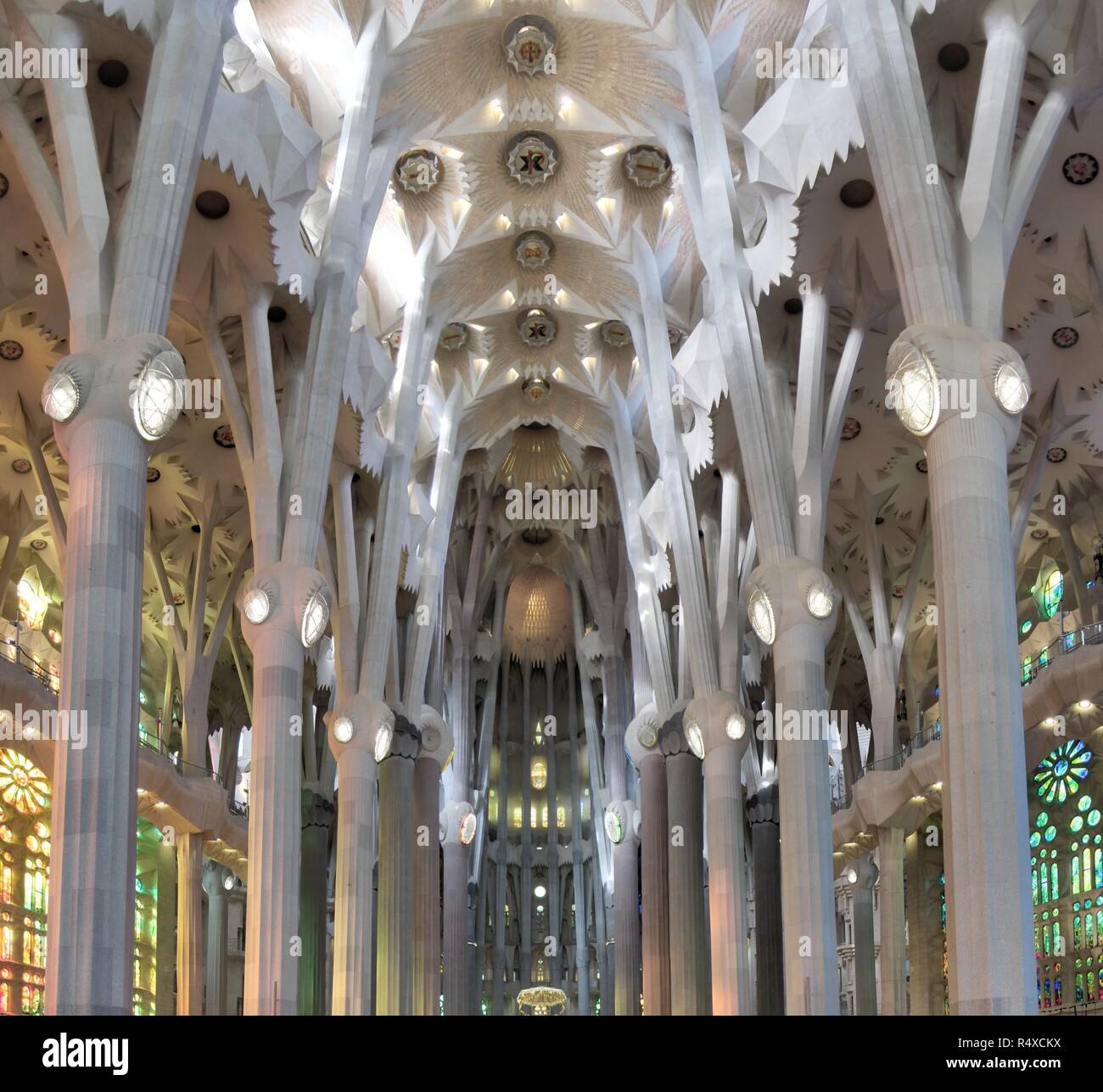 The ceiling of the central nave, with the typical catenary (hyperbolic ...