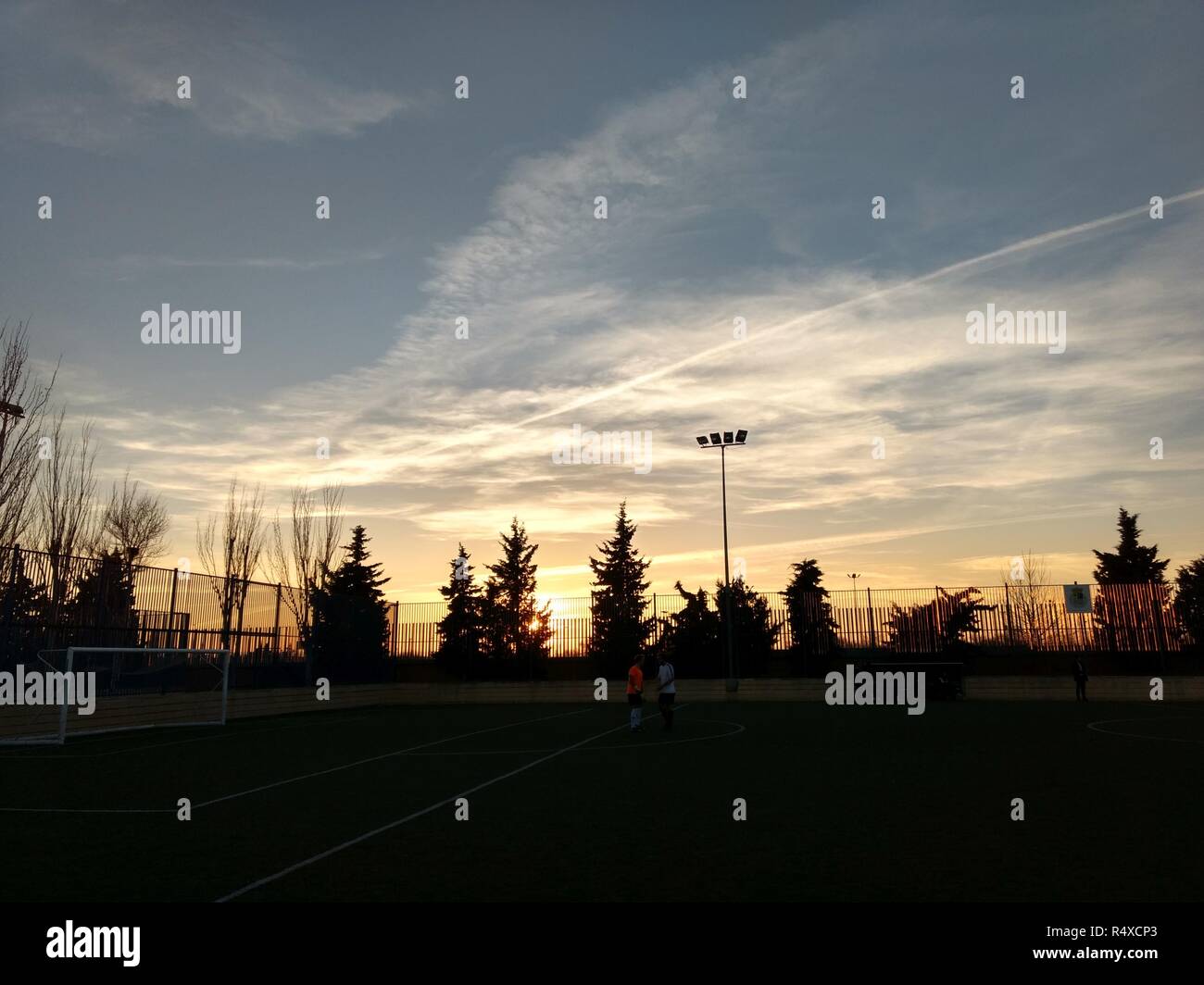 A sunset in winter, with trees and fences as black silhouettes on the ...