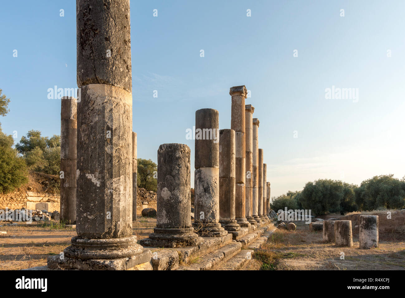 Ancient Nysa on the Maeander is a true gem of Caria hidden in the deep ...
