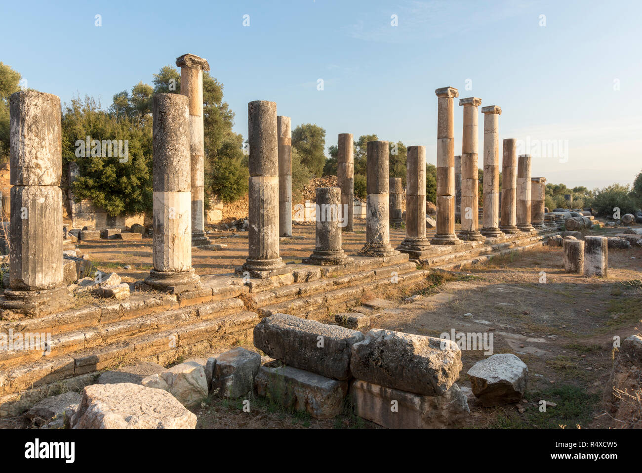 Ancient Nysa on the Maeander is a true gem of Caria hidden in the deep ...