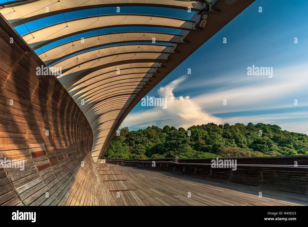 Henderson Waves Bridge Stock Photo - Alamy