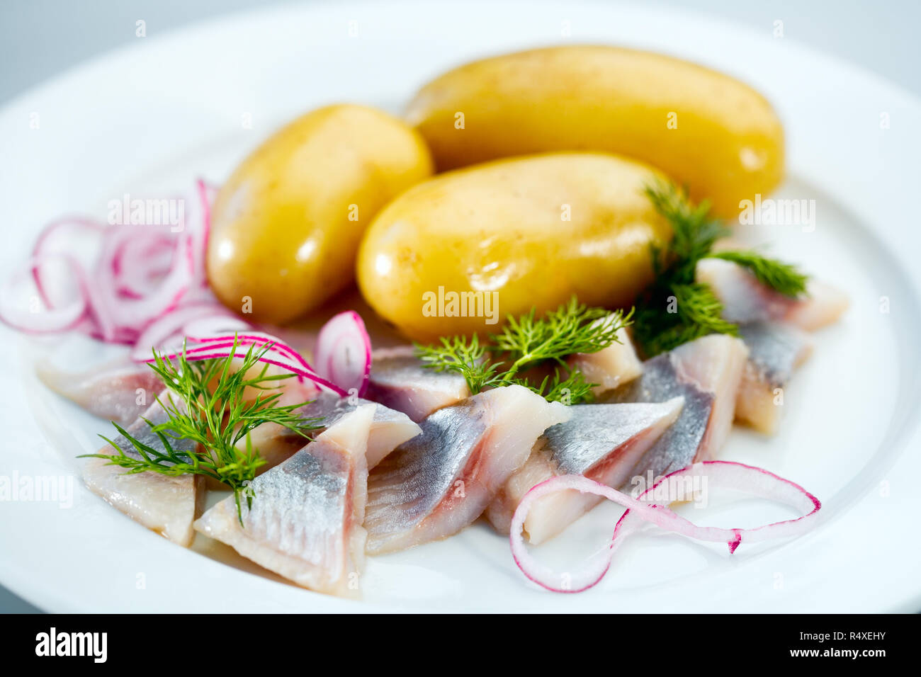 Oil marinated herring with potatoes hi-res stock photography and images ...