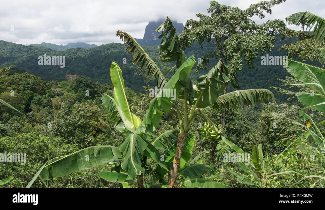 Subsahara africa hi-res stock photography and images - Alamy