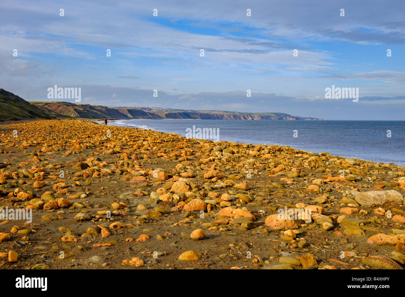 Rocky beach near Blackhall and Castle Eden on the County Durham ...
