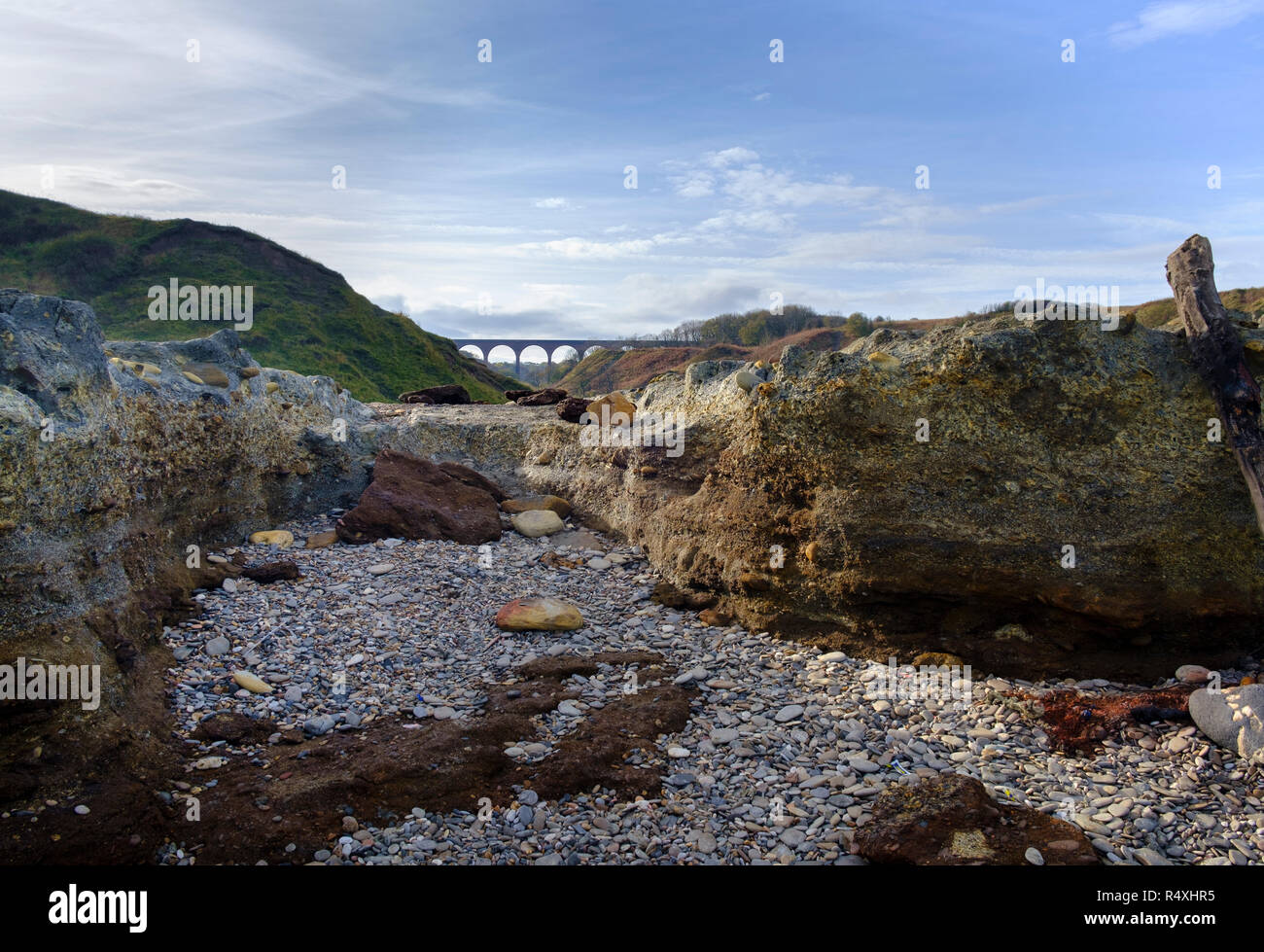 Castle eden nature reserve hi-res stock photography and images - Alamy