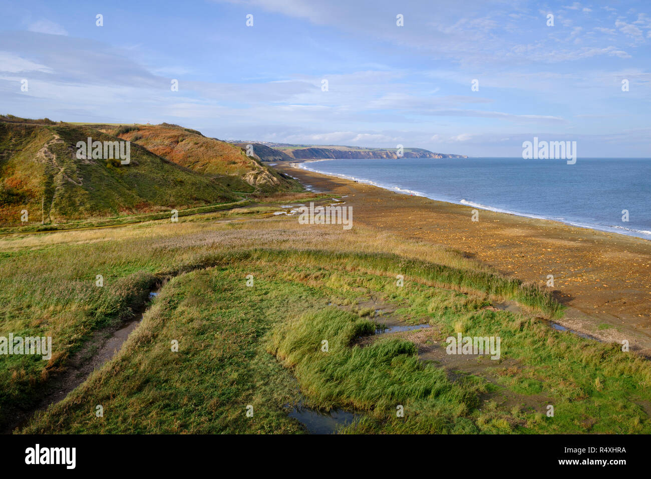 Castle eden nature reserve hi-res stock photography and images - Alamy