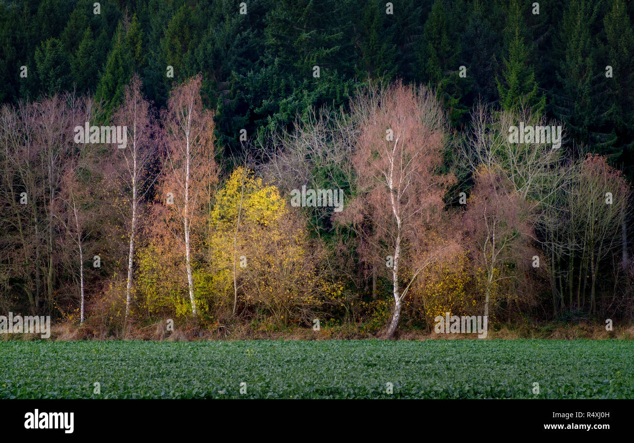 Shotley bridge hi-res stock photography and images - Alamy