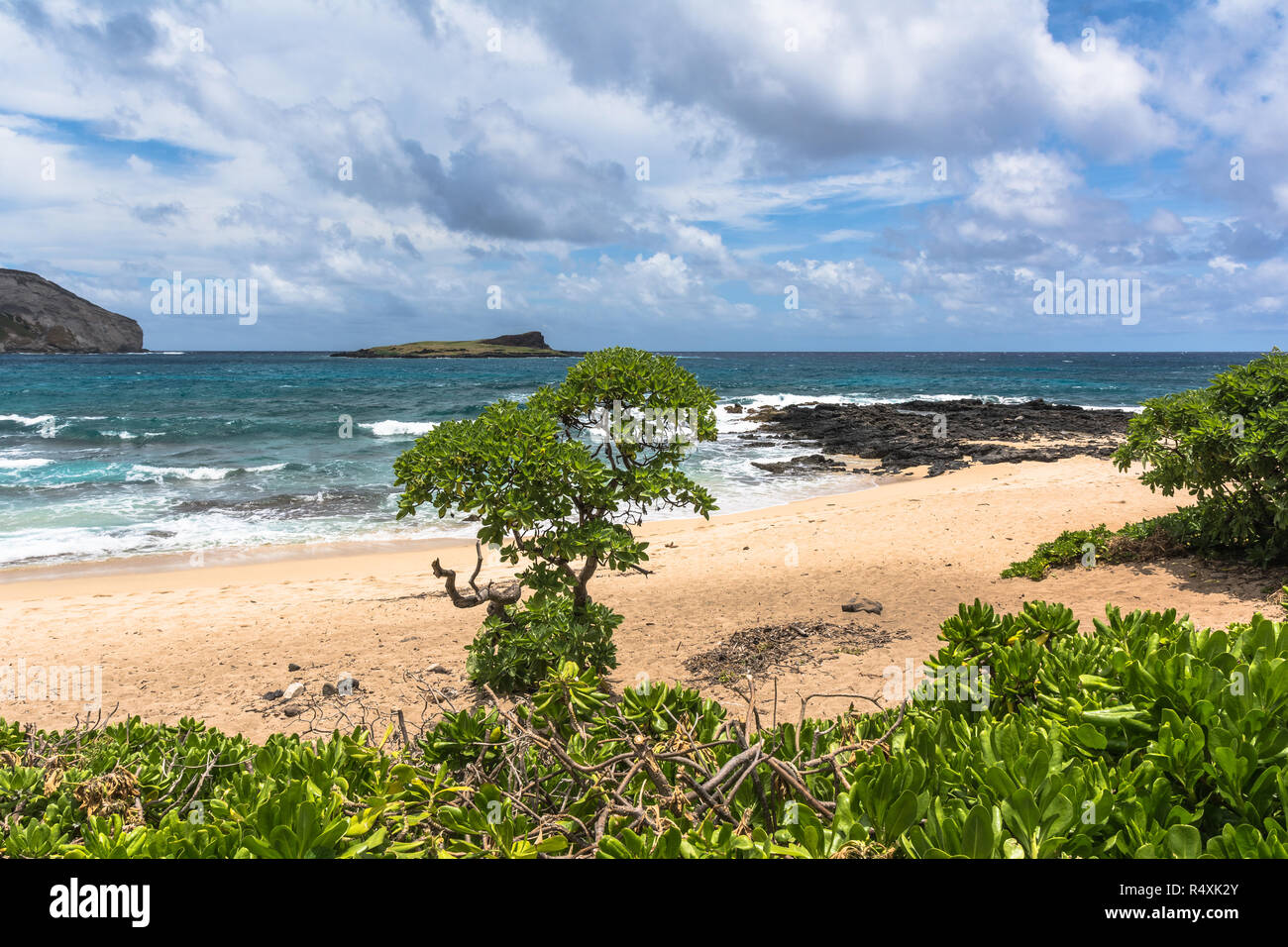 Waimanalo hi-res stock photography and images - Alamy