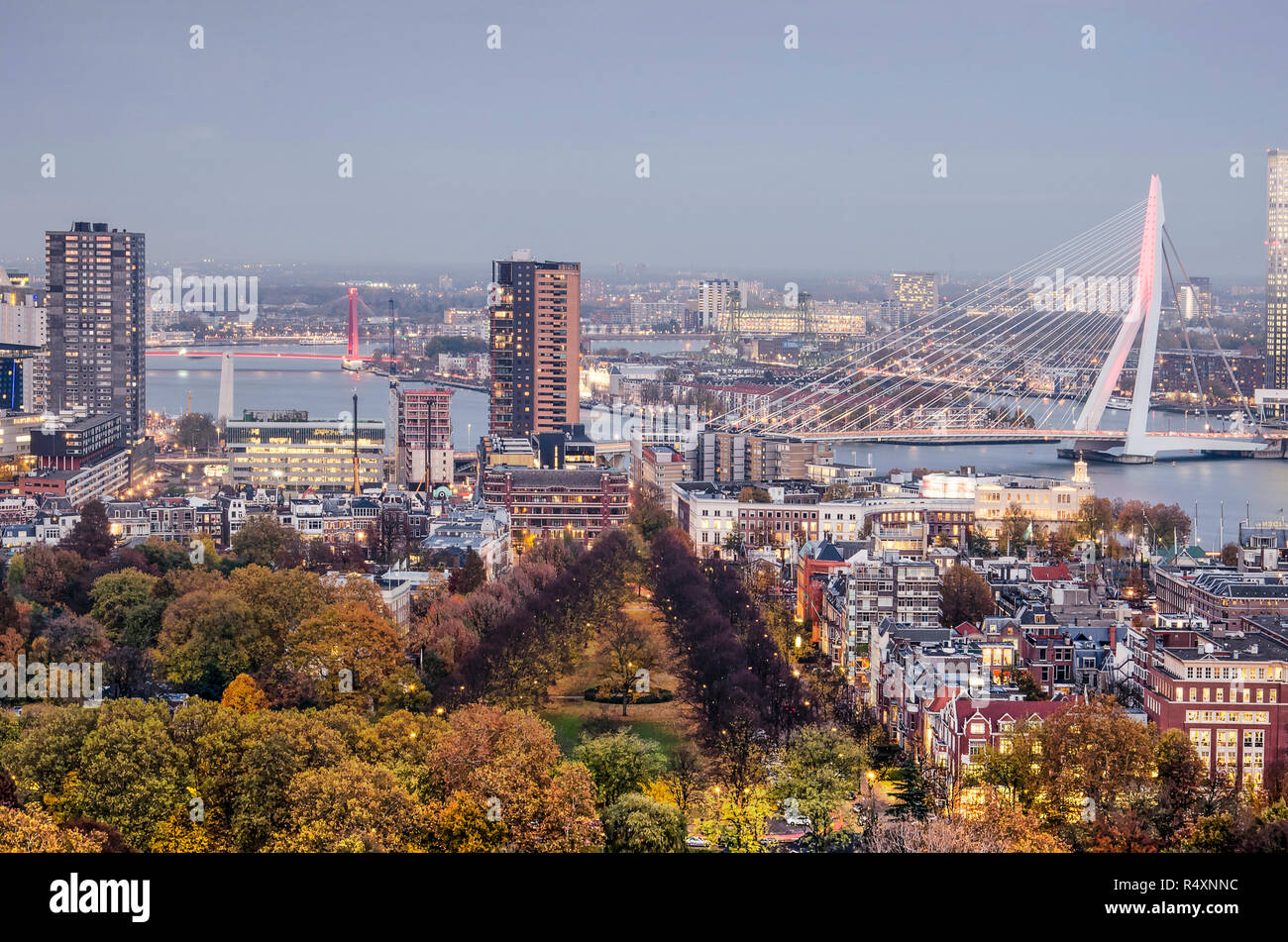 Rotterdam bridges hi-res stock photography and images - Alamy