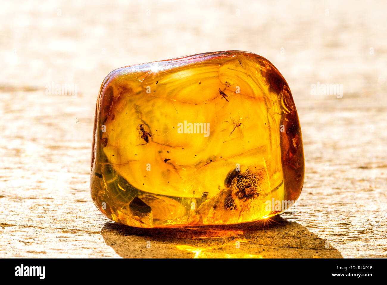 amber with insects Stock Photo - Alamy