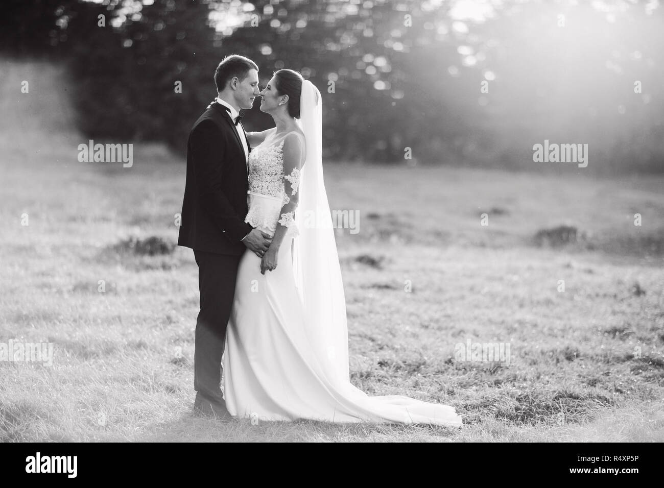 bride and groom Stock Photo - Alamy