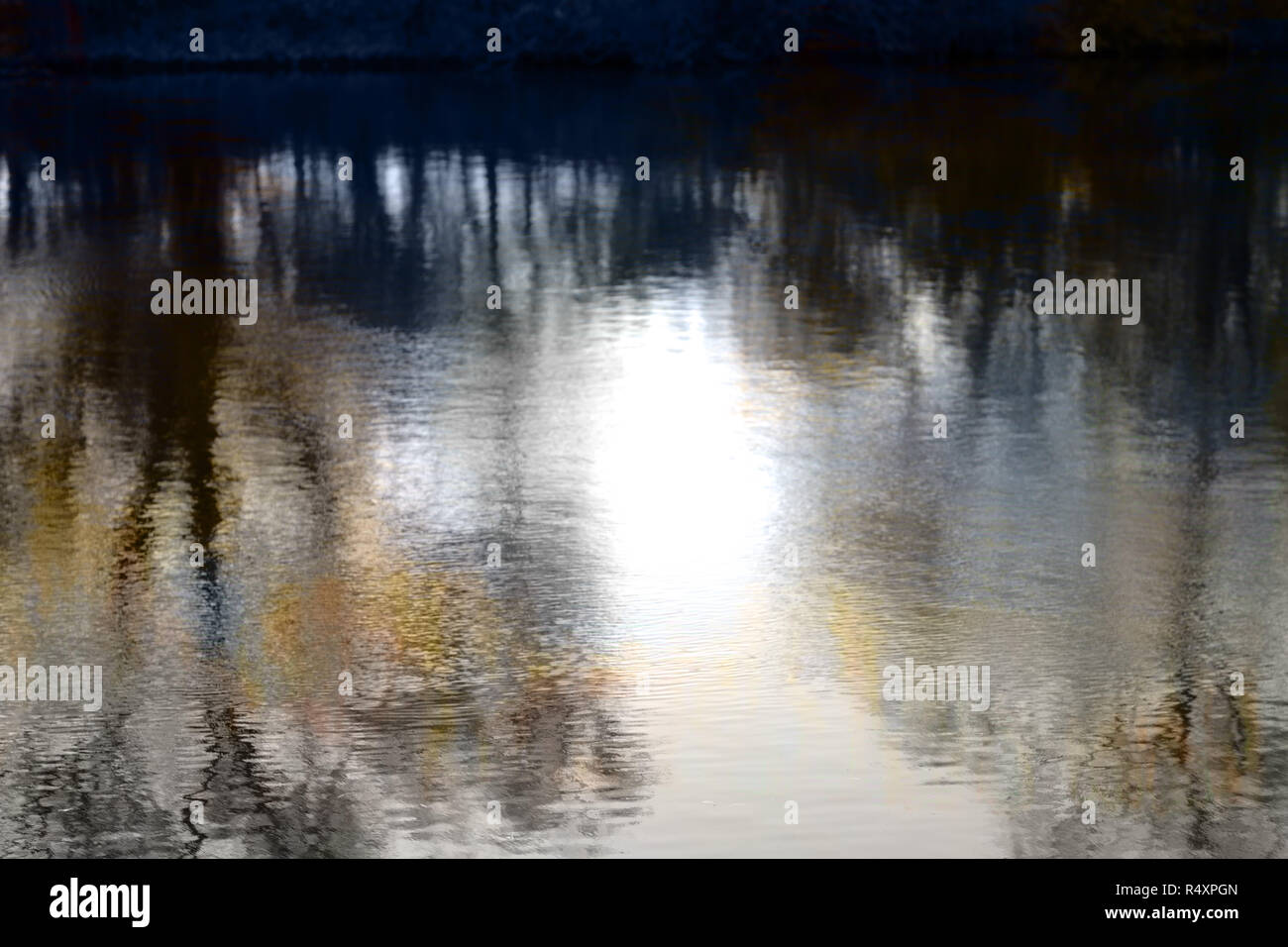 Abstract reflections and color gradients of trees and plants in autumn ...