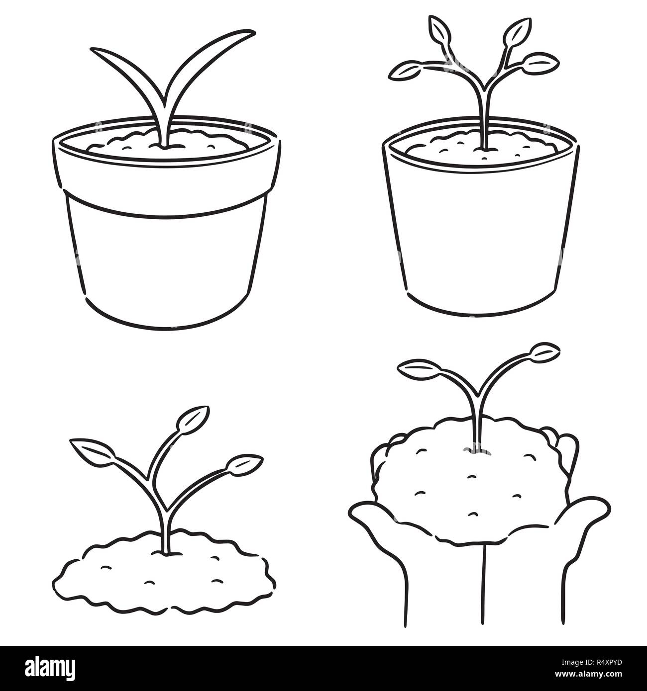 Planting tree process Black and White Stock Photos & Images - Alamy