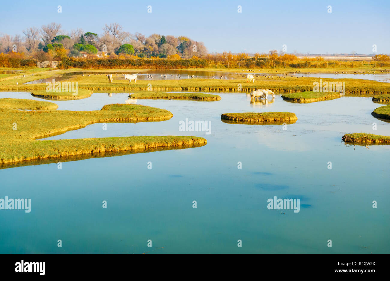 Grado friuli venezia giulia hi-res stock photography and images - Alamy