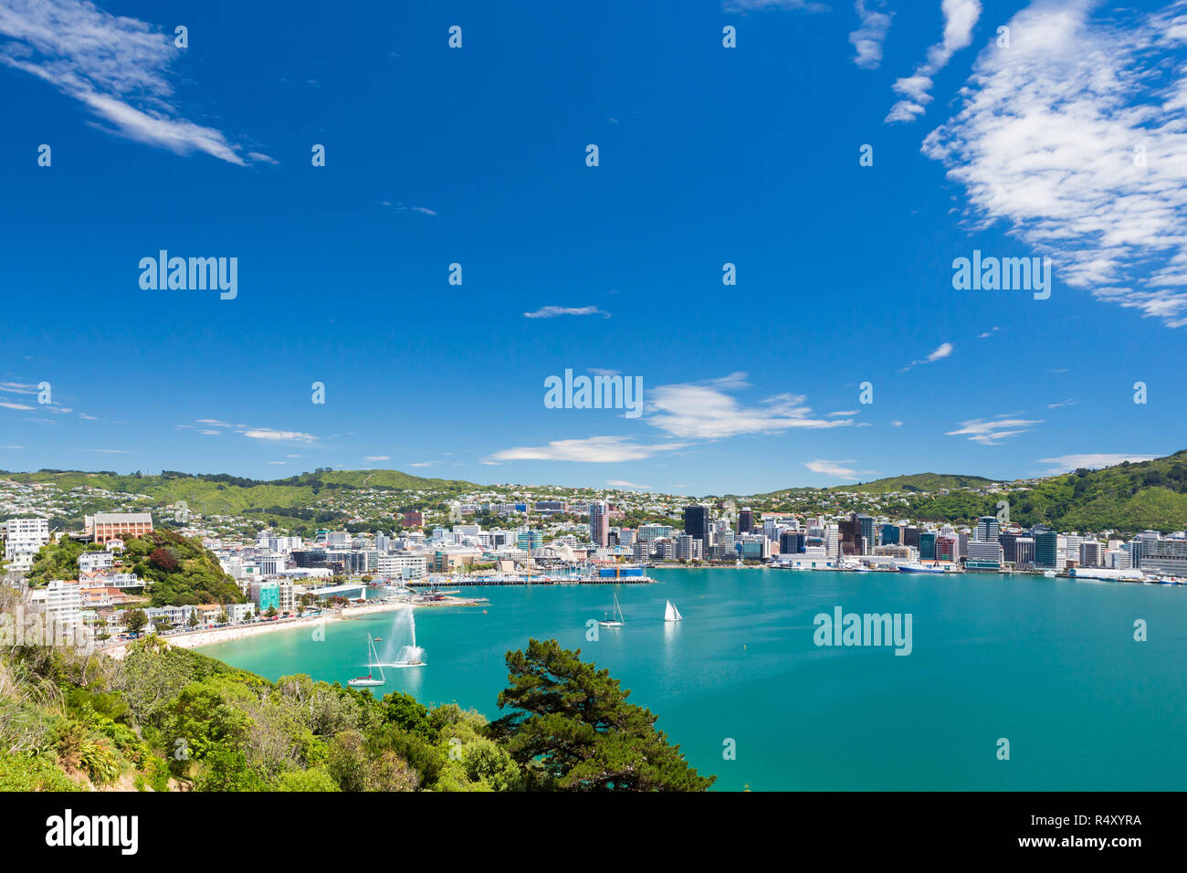 Wellington capital city of New Zealand Stock Photo - Alamy