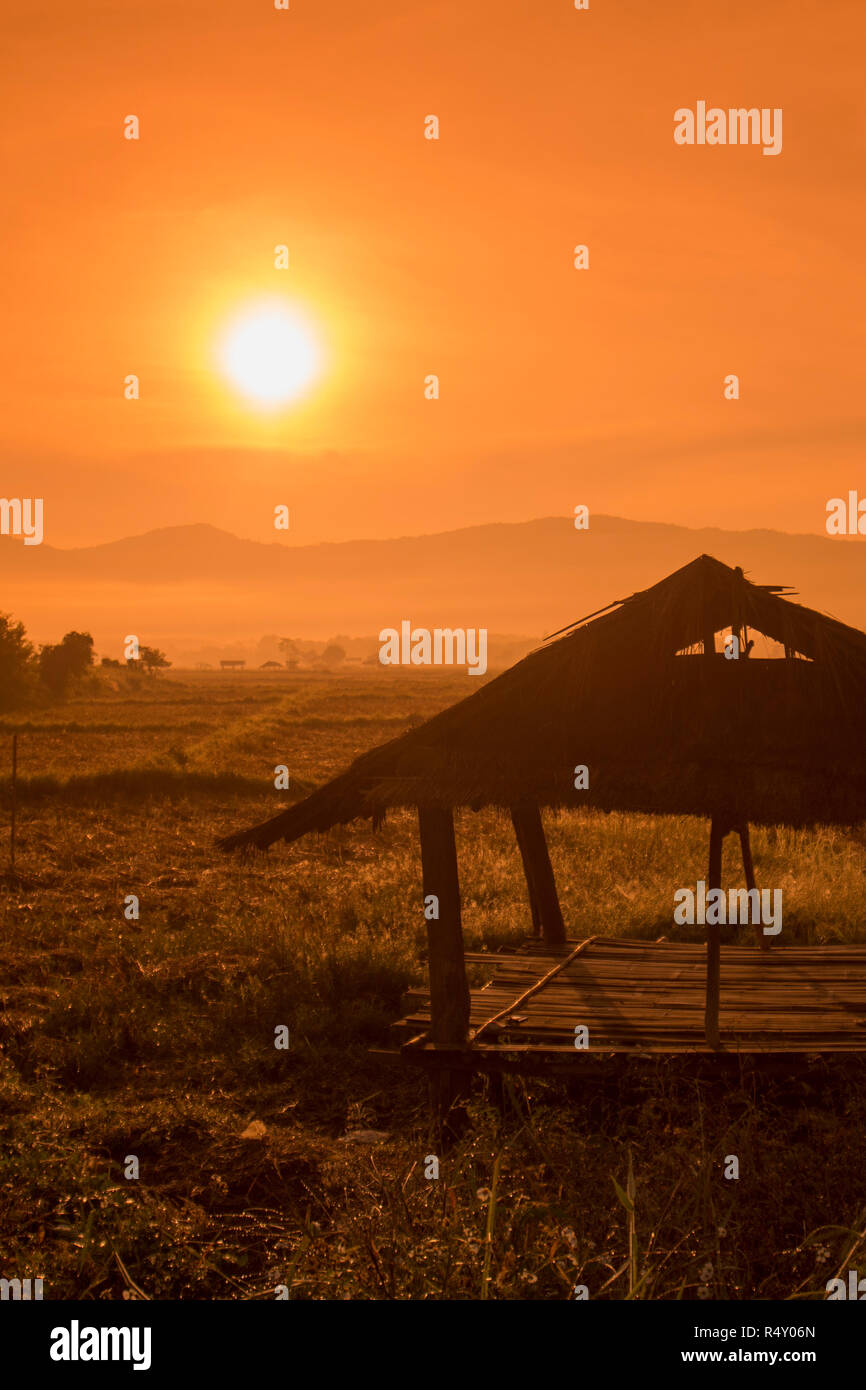 thailand chiang rai landscape morning fog Stock Photo - Alamy