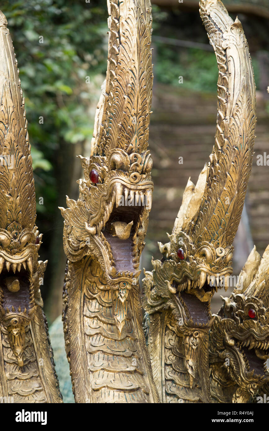 thailand chiang rai mai sai monkey cave temple Stock Photo - Alamy