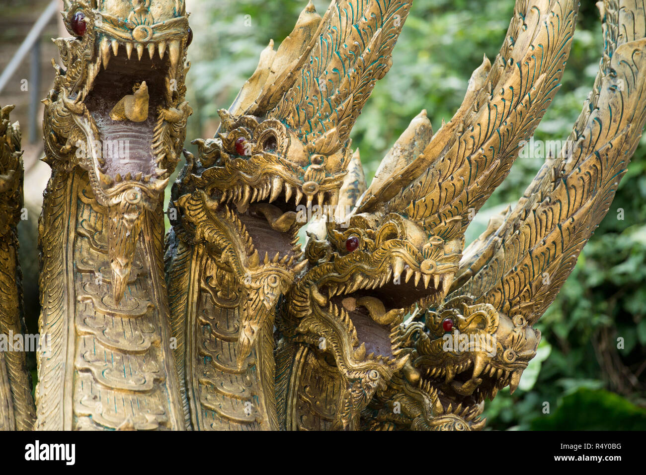 thailand chiang rai mai sai monkey cave temple Stock Photo - Alamy