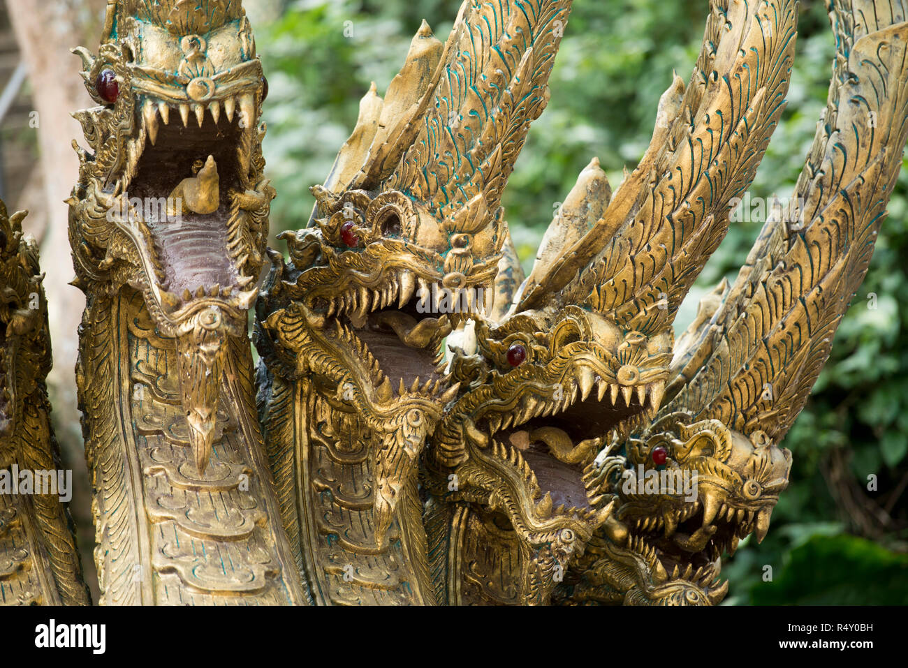 thailand chiang rai mai sai monkey cave temple Stock Photo - Alamy