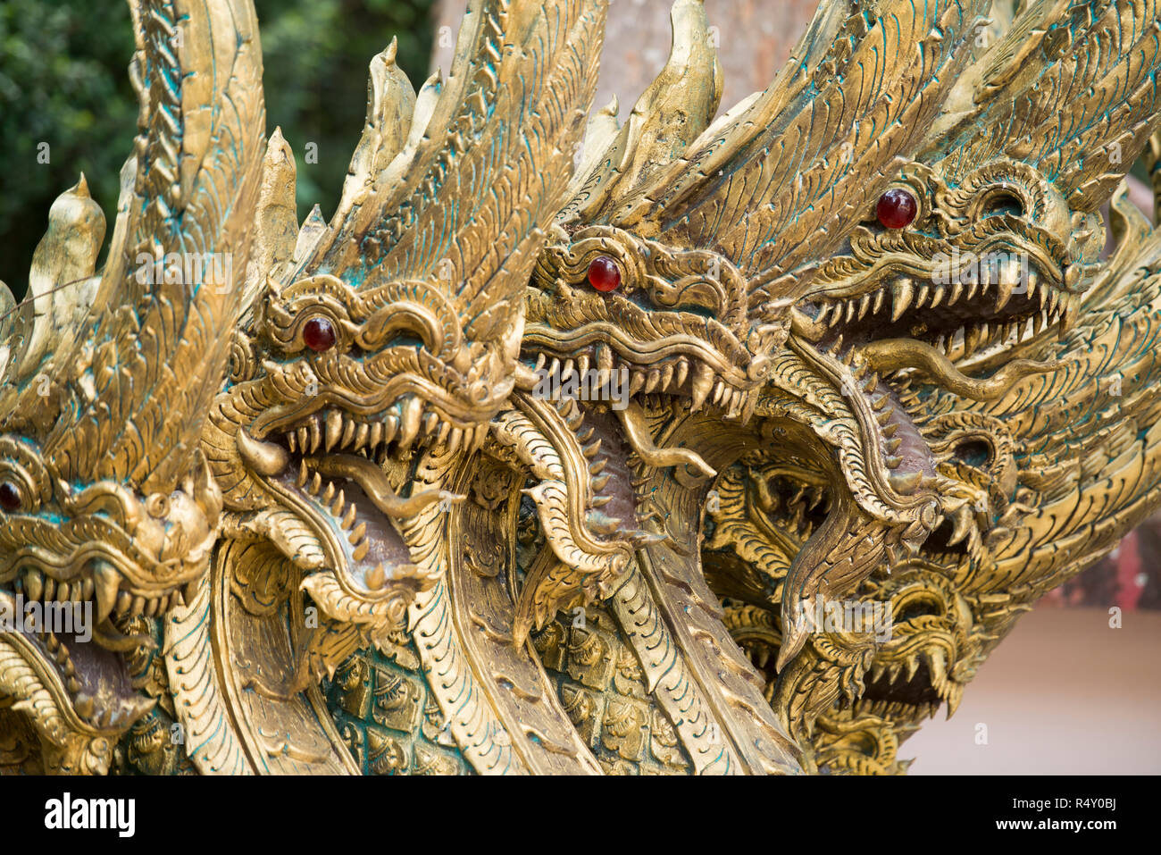 thailand chiang rai mai sai monkey cave temple Stock Photo - Alamy