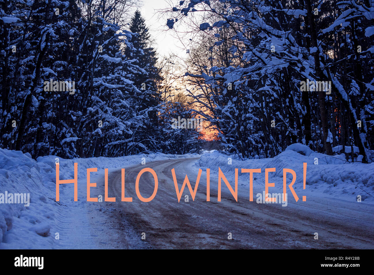 Welcome Winter Wallpapers