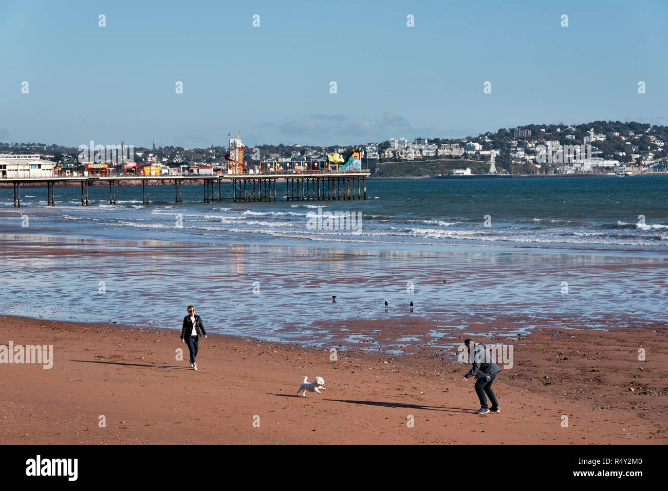 The beach and pier at Paignton Devon, UK Stock Photo - Alamy