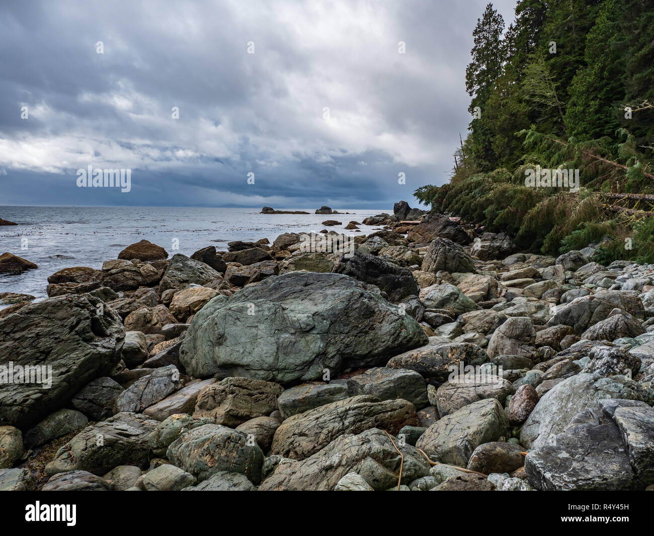 Boulders along a shoreline on the west coast trail, on Vancouver Island ...