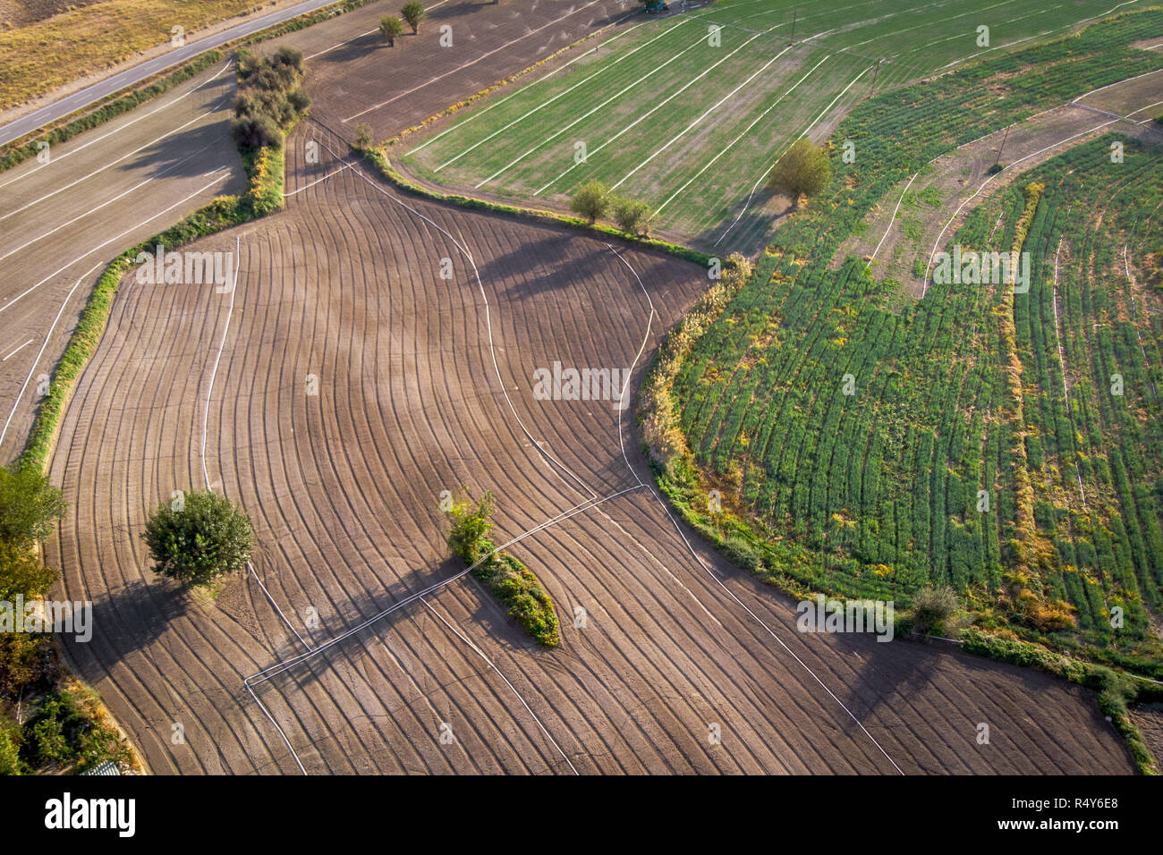 Aerial view of fields with geometric shapes Stock Photo - Alamy