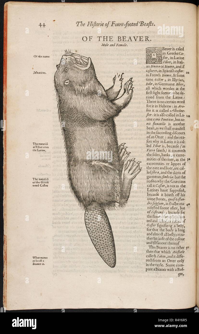 444 44 hi-res stock photography and images - Alamy