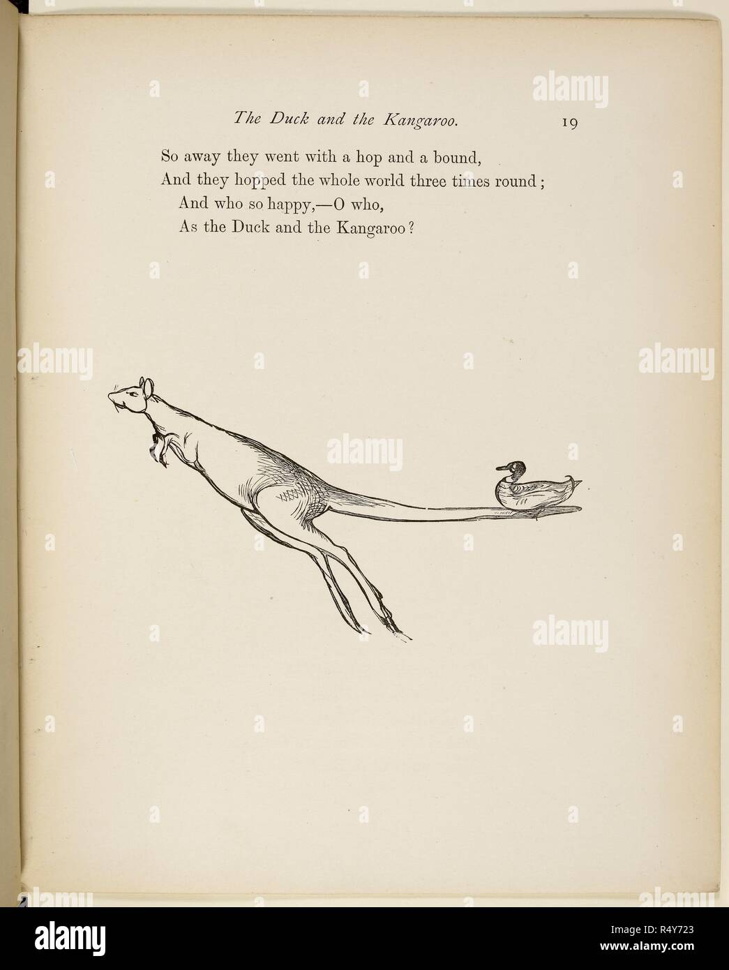 Duck kangaroo edward lear kangaroo hi-res stock photography and images ...