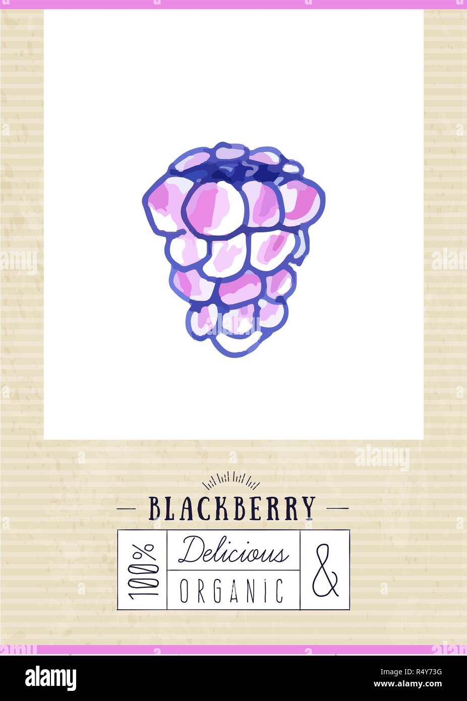 Blackberry plant Stock Vector Images - Alamy