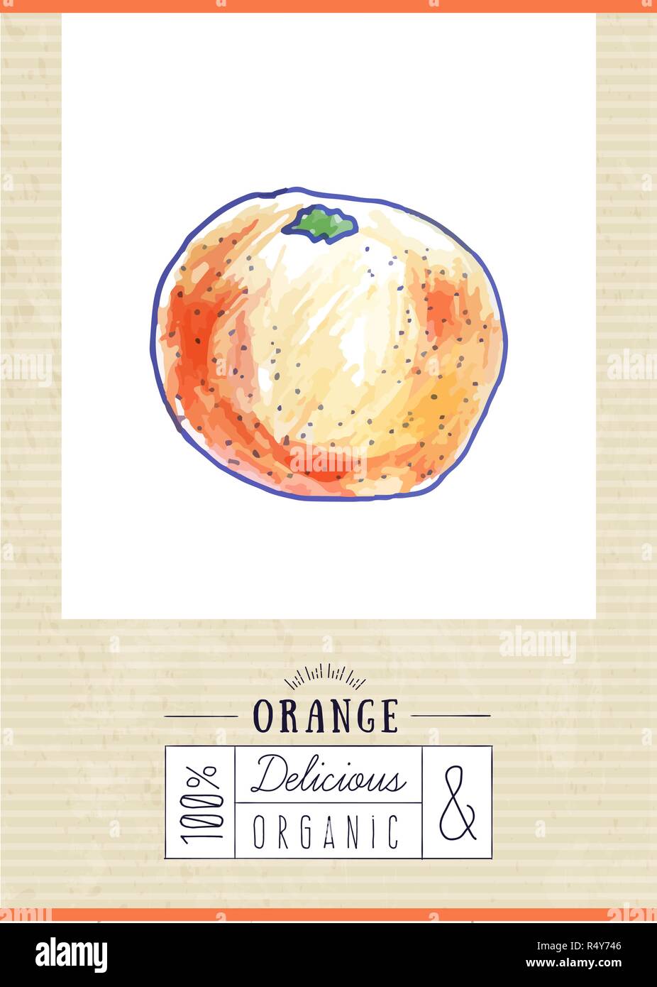 vintage label with hand drawn orange Stock Vector Image & Art - Alamy