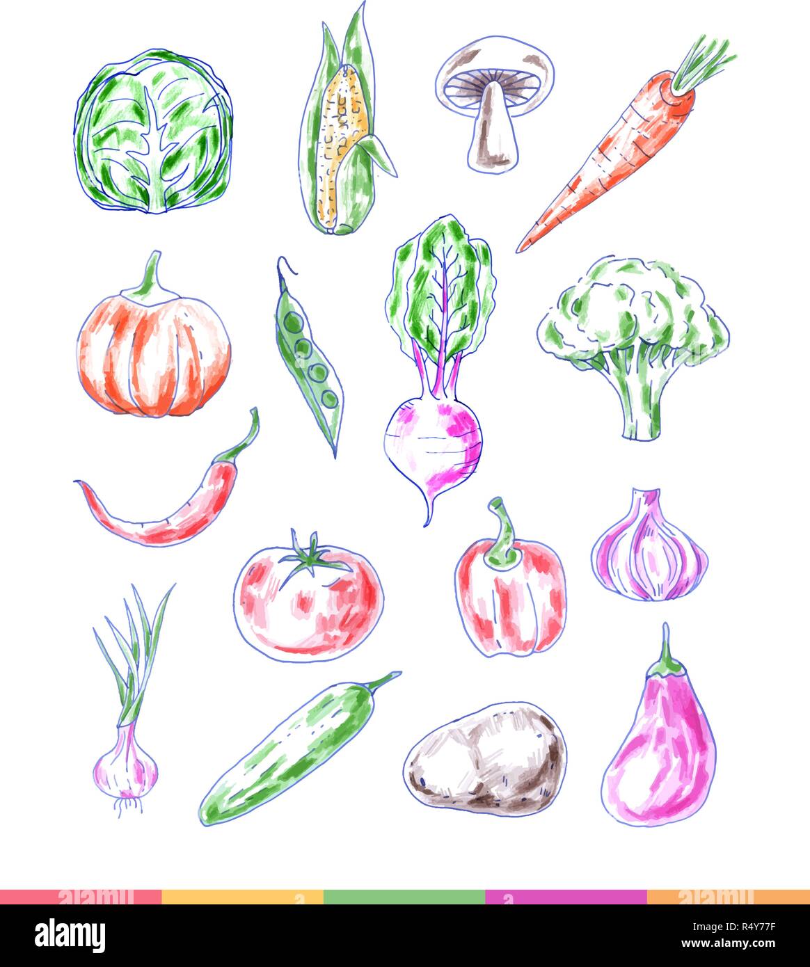 Vector hand drawn corn Stock Vector Images - Alamy