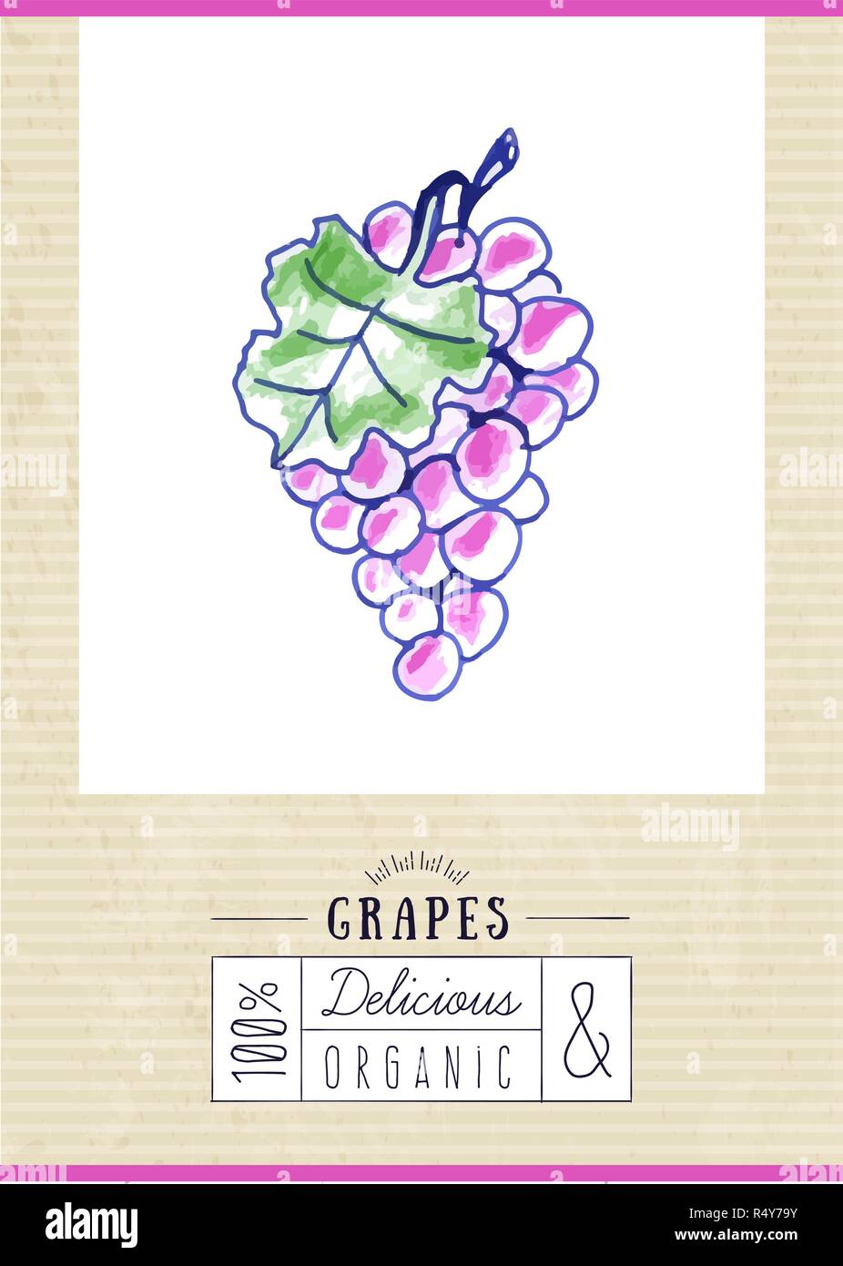 vintage label with hand drawn grapes Stock Vector Image & Art - Alamy