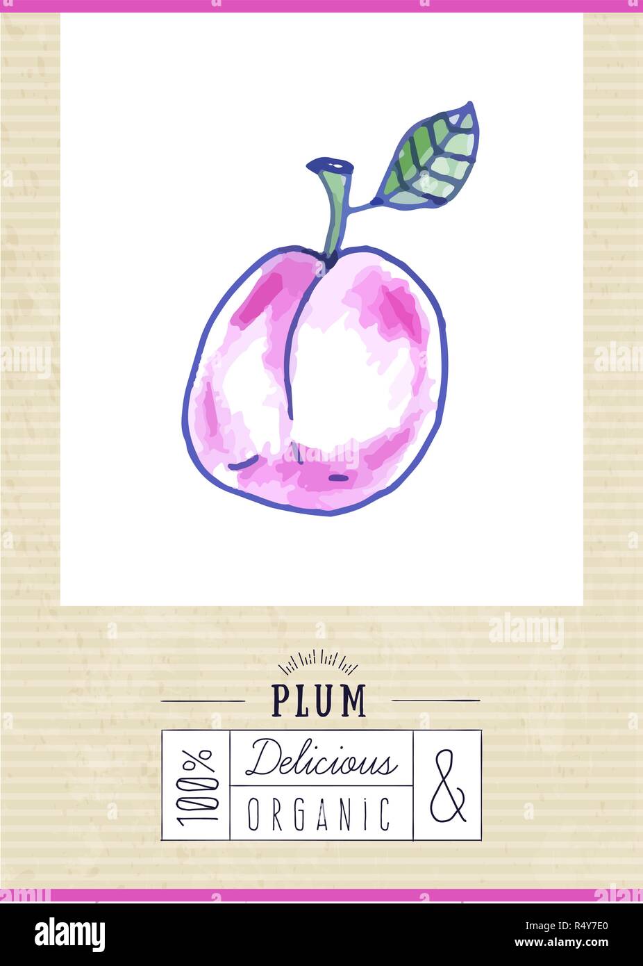 vintage label with hand drawn plum Stock Vector Image & Art - Alamy