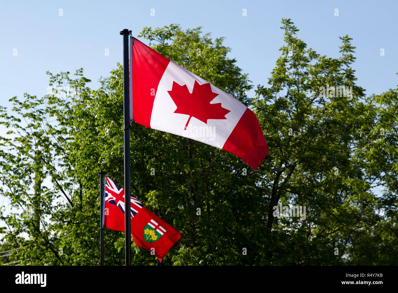 The flags of Canada and Ontario flying at Gananoque in Ontario, Canada ...